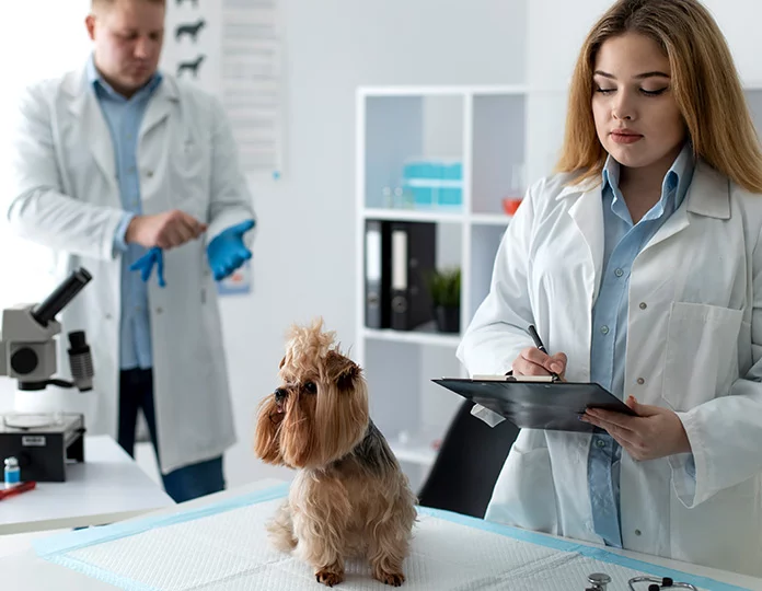 Animal use in psychological research