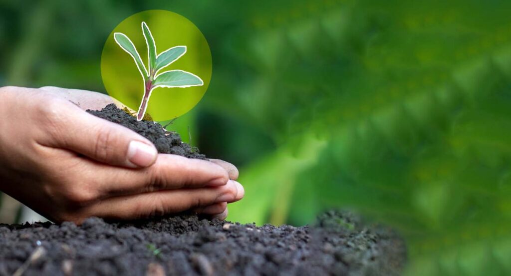 World Environment Day: The Role of Environmental Psychology