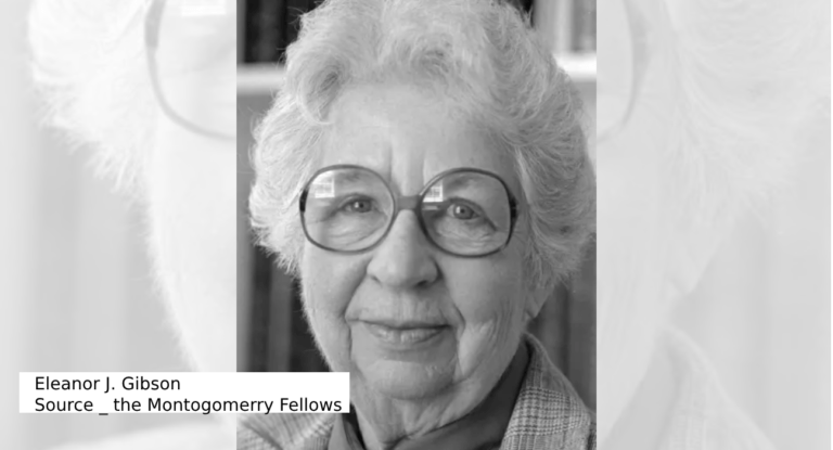 A deep dive into the lives of women psychologists around the world