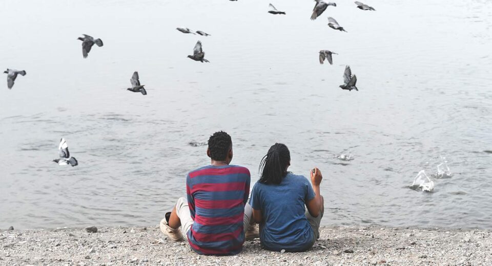 Bird watching makes people feel better: Study