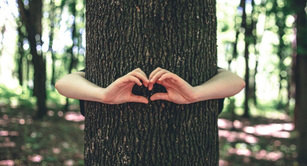 The psychology behind Dendrophilia: understanding the love for trees
