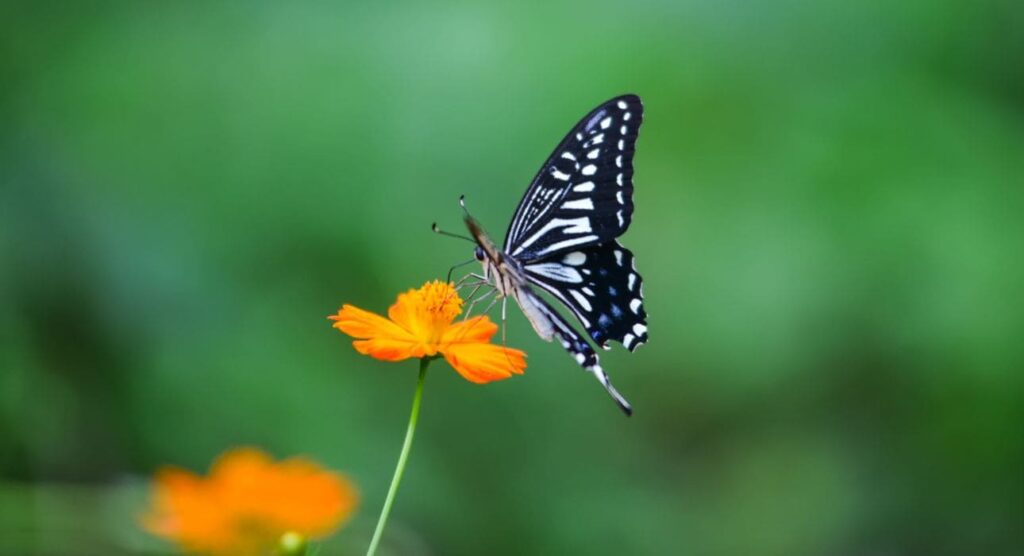 6 ways to Find More Meaning in Life
