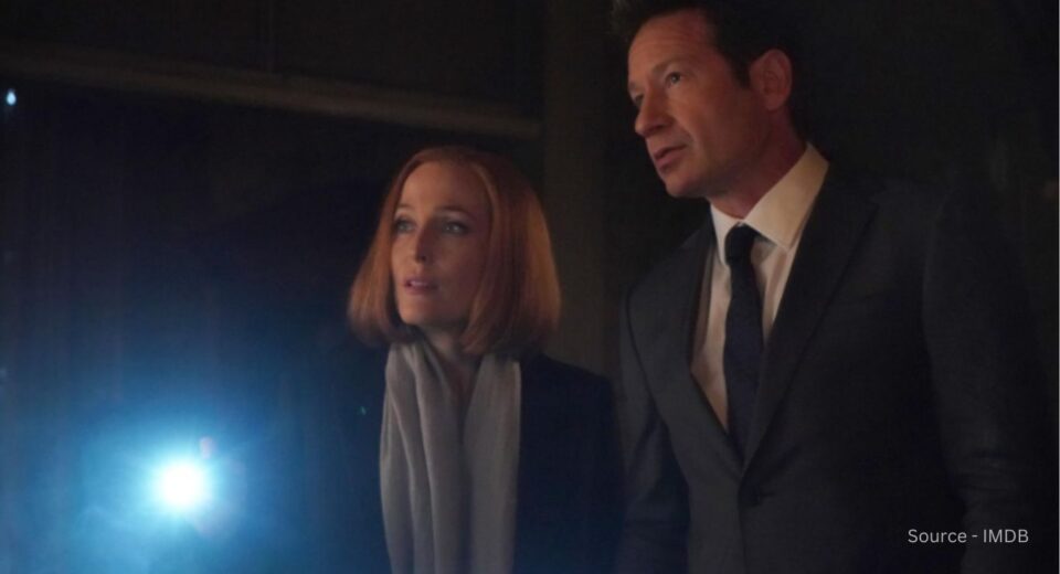Scully Effect: Why Representation Matters?