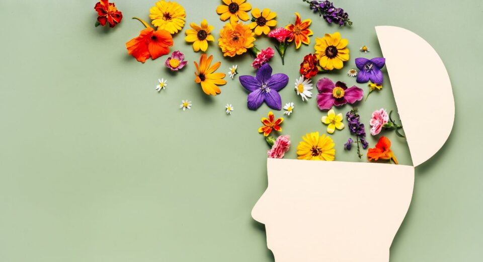 12 Branches of Psychology