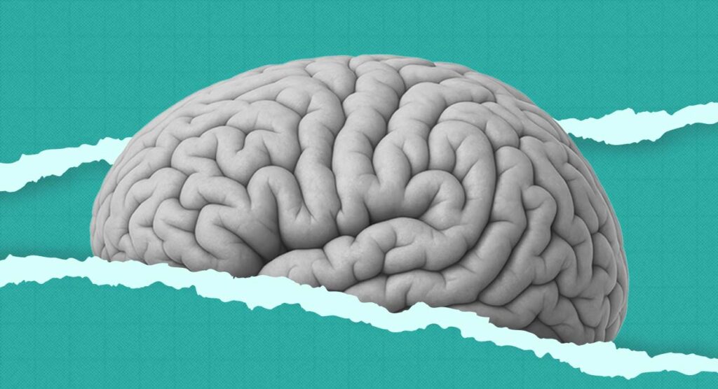 The Plasticity Paradox: Why 2026’s Neuro-AI Tools Might Be Making Our ...